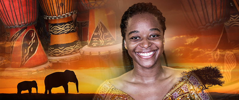 African Languages Translation Service - Lingua Technologies International