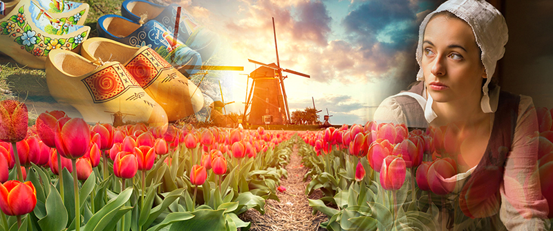 Dutch Translation Service - Lingua Technologies International